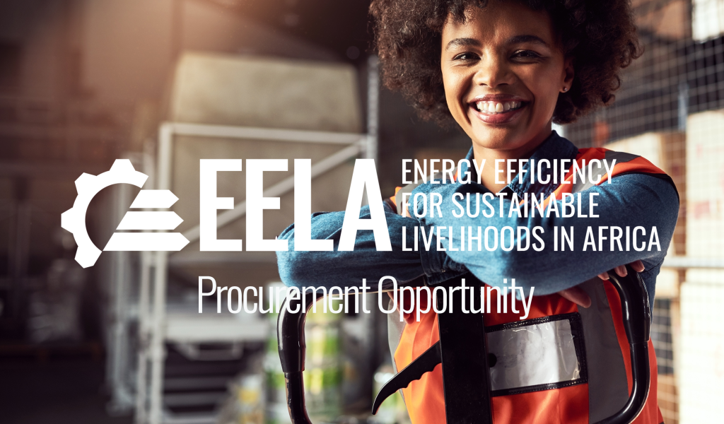 Procurement Announcement: Gender Equality and Social Inclusion (GESI) approach | EELA PROJECT